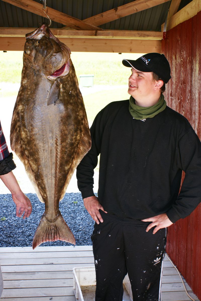 Trondheimfjord, Angel Resort in Trondheim (Norwegen) - Fjord Tours