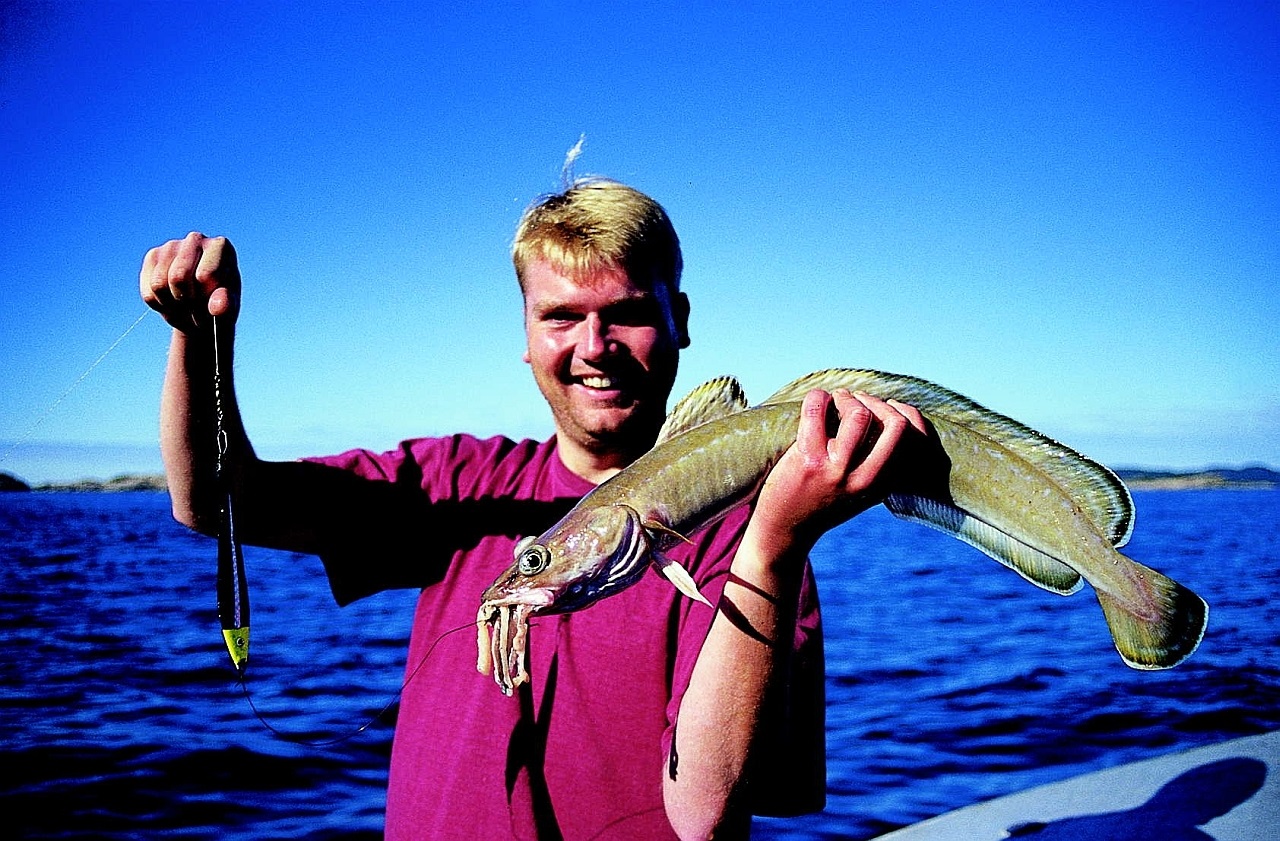 Trysnes Marina, Angel Resort in Mandal (Norwegen) - Fjord Tours